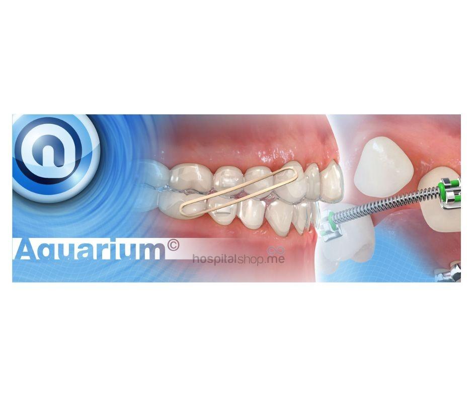 Dolphin Aquarium Network 5 Dental Software