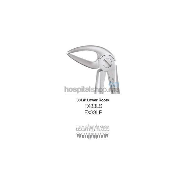 Trusta Extraction Forcep English Pattern Lower Roots No. 33L ANE-FX33LS ...